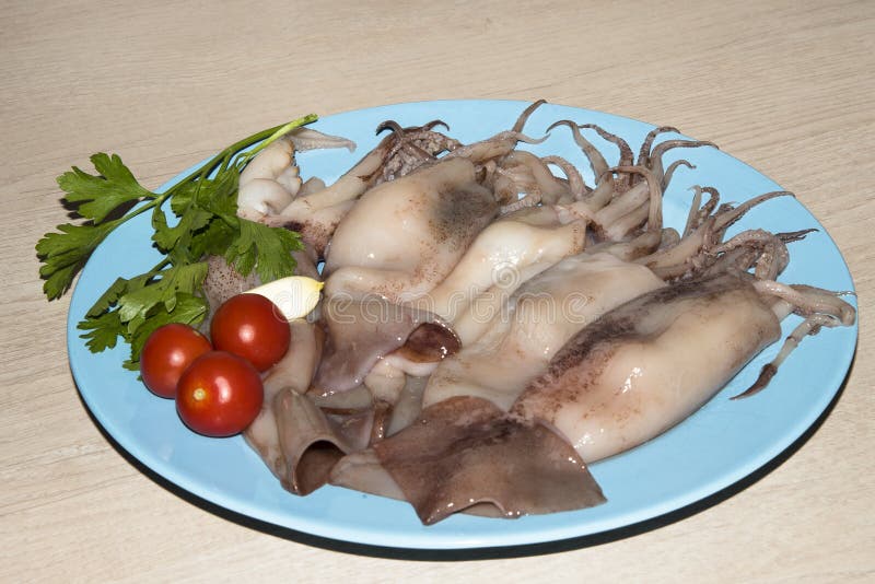 Squid ready to cook stock photo. Image of fish, garlic - 60549504