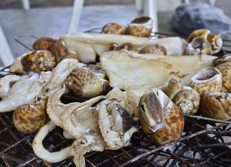 Squid and shellfish grill stock photo. Image of cooked - 29384522