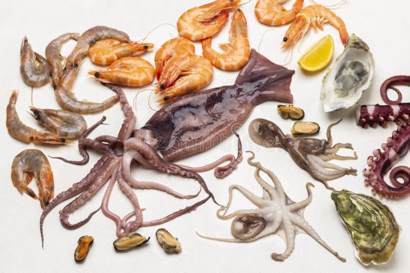 Squid, Shrimp, Baby Octopus, Oyster in Shell on White Stock Image ...