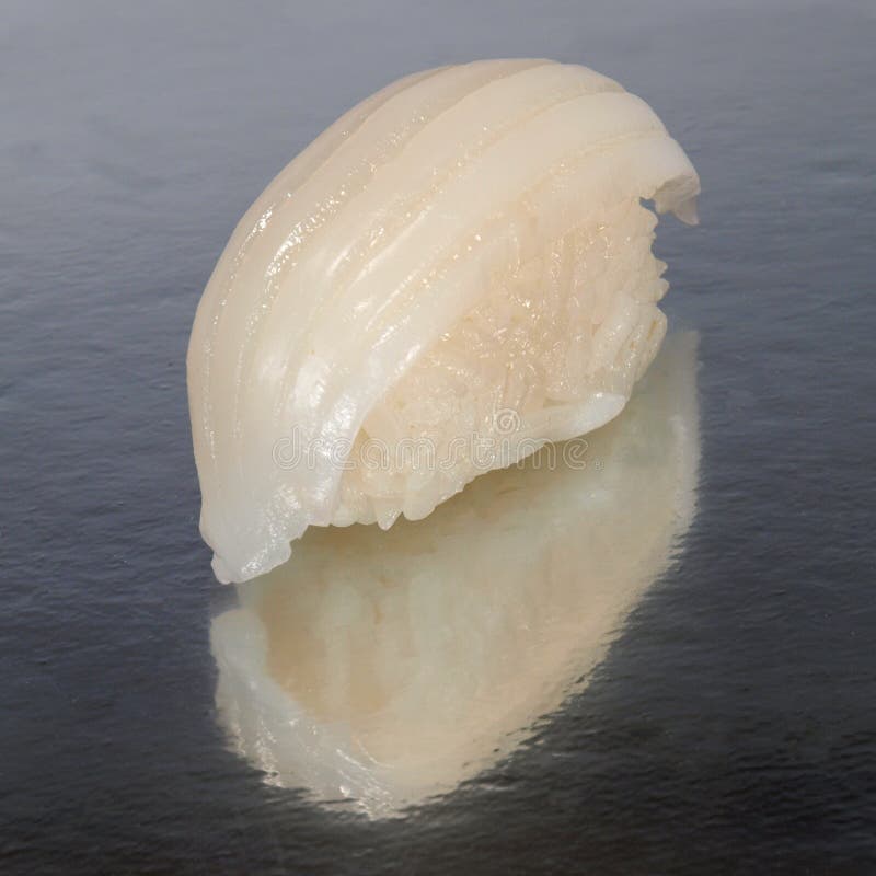 Ika (Squid) Sushi stock photo. Image of restaurant, roll - 1040762