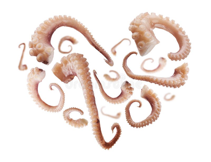 Squid Heart Stock Illustrations – 283 Squid Heart Stock Illustrations ...