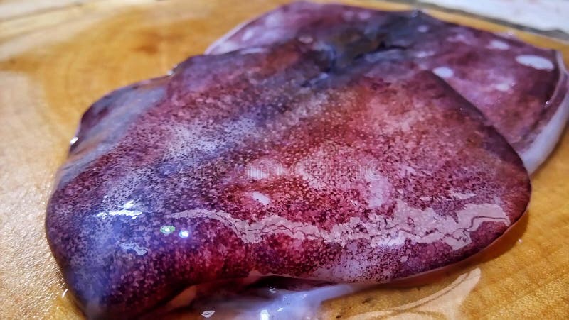 Squid texture 1 stock photo. Image of group, fish, fresh - 104279528