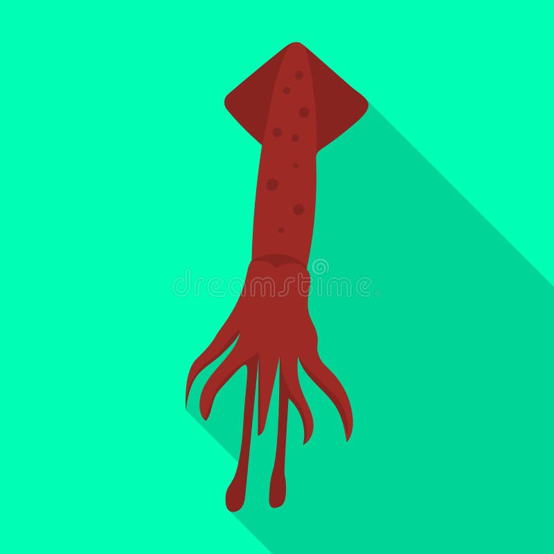 Squid Vector Icon.Flat Vector Icon Isolated on White Background Squid ...