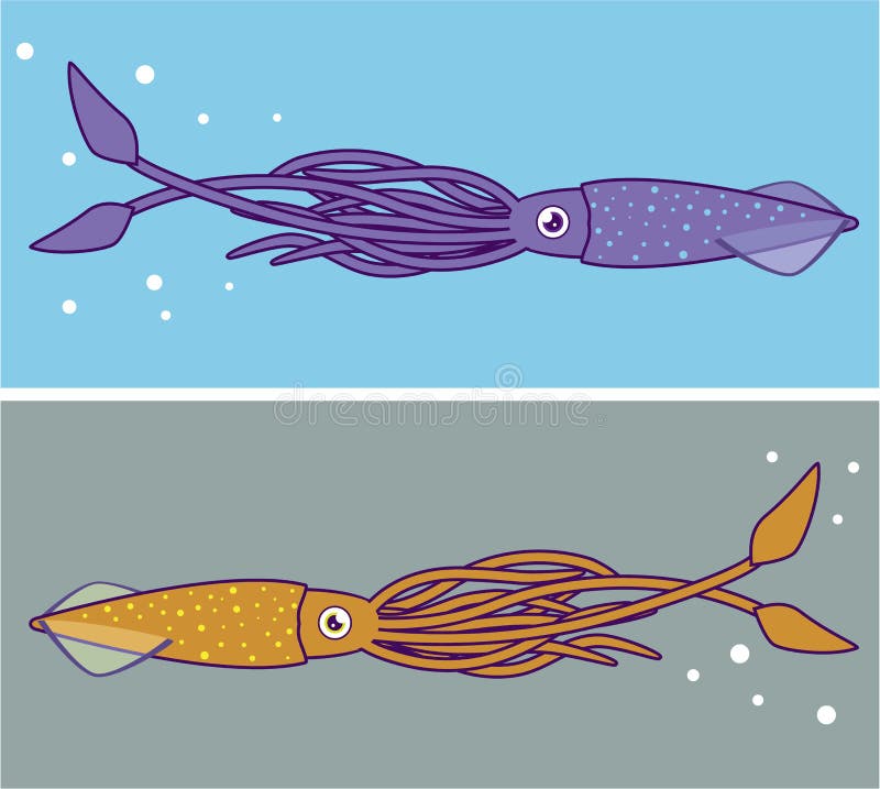 Squid vector stock vector. Illustration of cartoon, longfin - 41587498