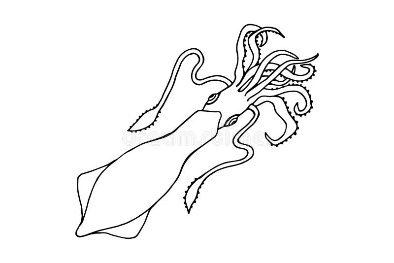 Doodle Animal Outline Squid Stock Illustrations – 486 Doodle Animal ...