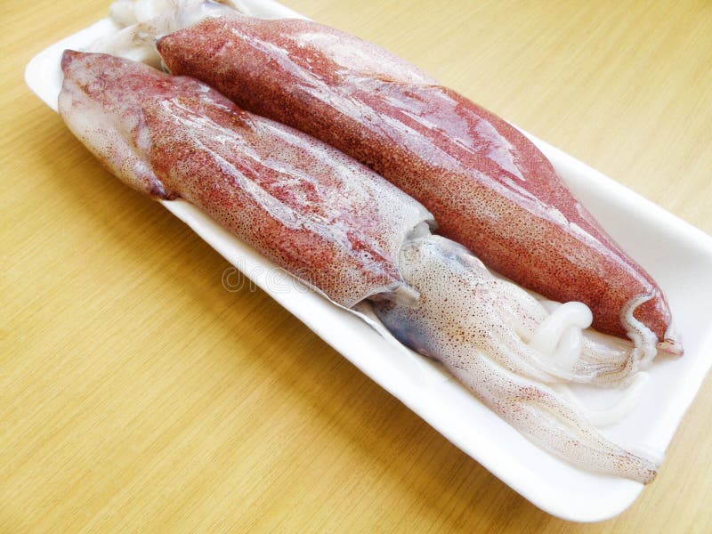 Styrofoam box stock photo. Image of chemical, takeout - 24804138