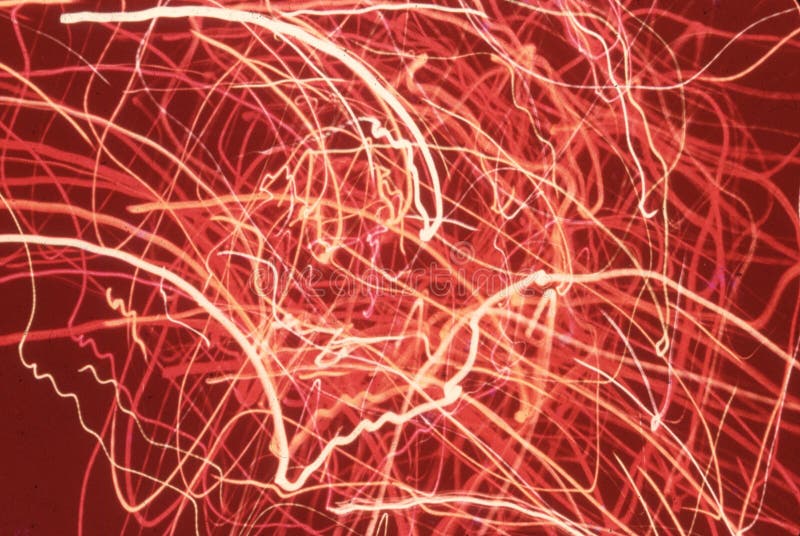 Squiggly lines of light stock image. Image of abstract - 55165991