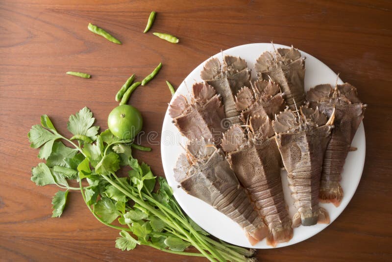 Squilla mantis stock image. Image of prawn, dinner, health - 94830415