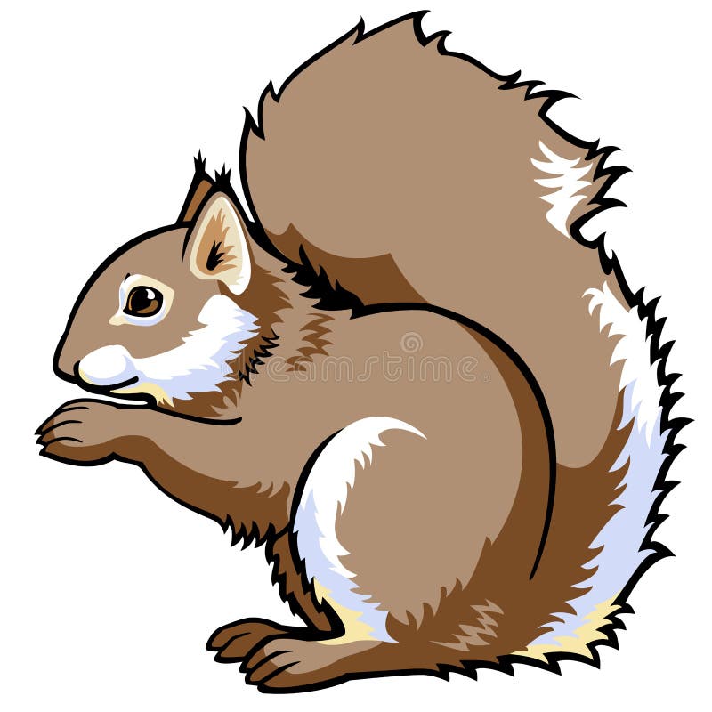 Squirrel Stock Illustrations – 122,894 Squirrel Stock Illustrations ...