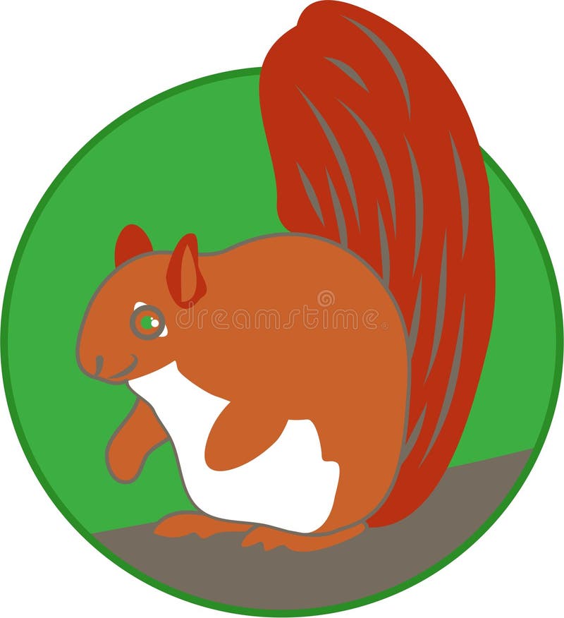 Sciurus Vulgaris - Eurasian Red Squirrel - Side View - Flat Vector ...