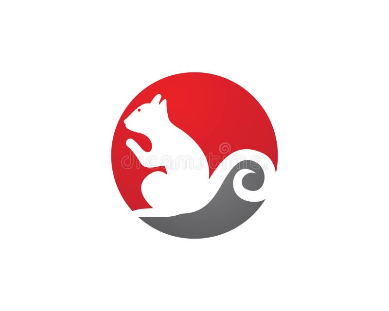 Squirrel Animals Logo and Symbols Template Icons App Stock Vector ...
