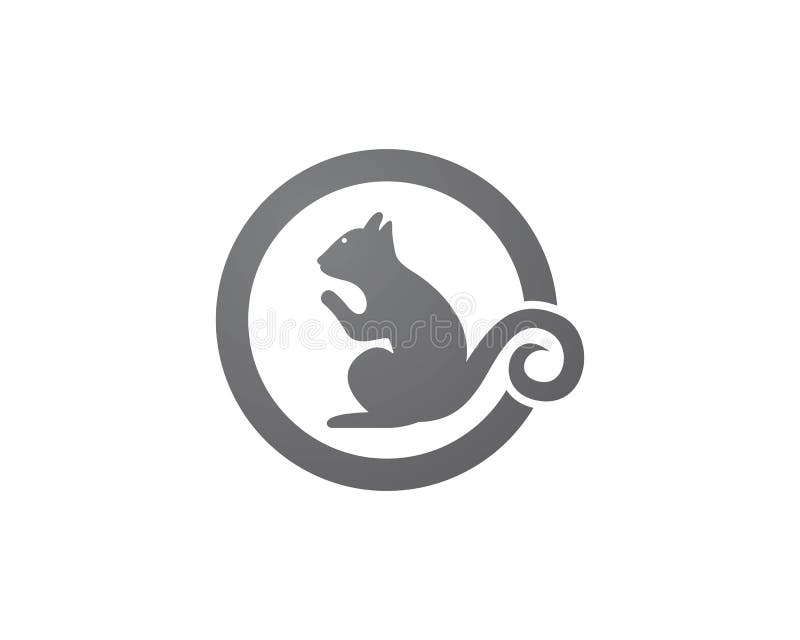 Squirrel Animals Logo and Symbols Template Icons App Stock Vector ...