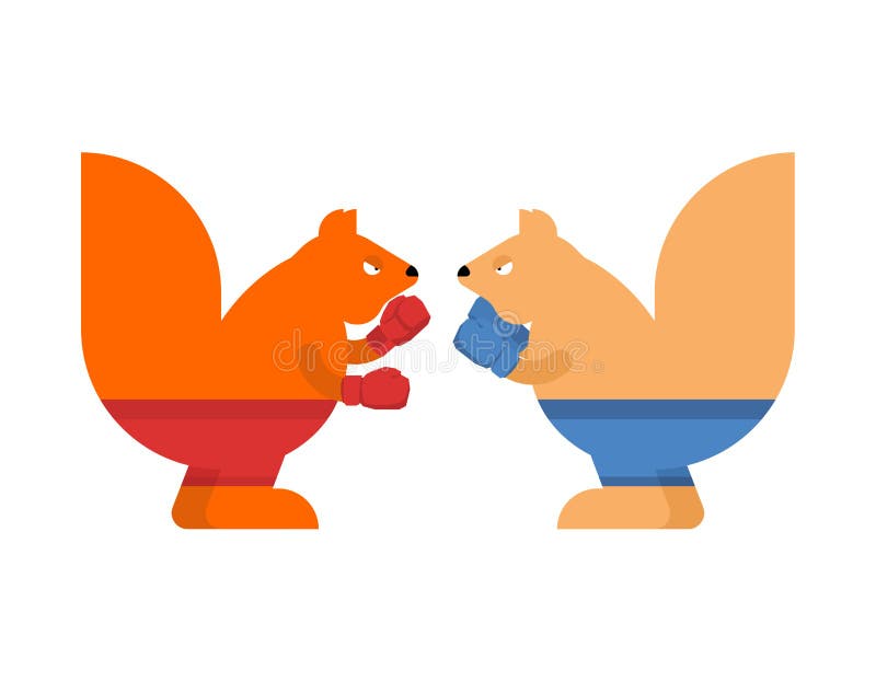 Squirrel Boxer. Rodent in Boxing Gloves Stock Vector - Illustration of ...
