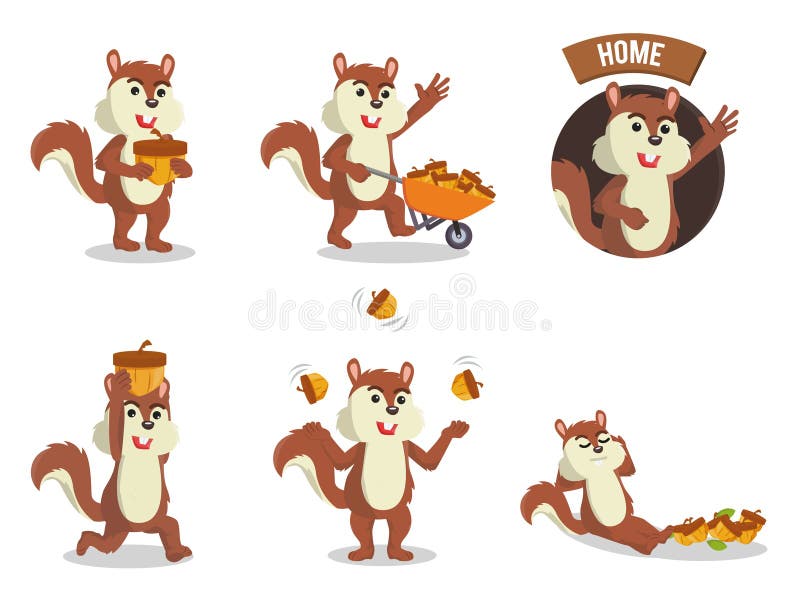 Squirrel Expression Character Design Bundle Stock Illustrations – 16 ...