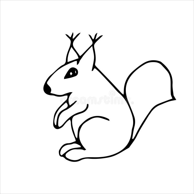 Squirrel Doodle, a Vector Drawing of a Forest Animal. Stock Vector ...
