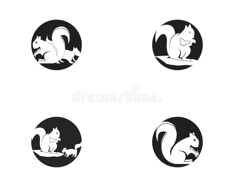 Squirrel Icon Vector Illustration Stock Vector - Illustration of ...
