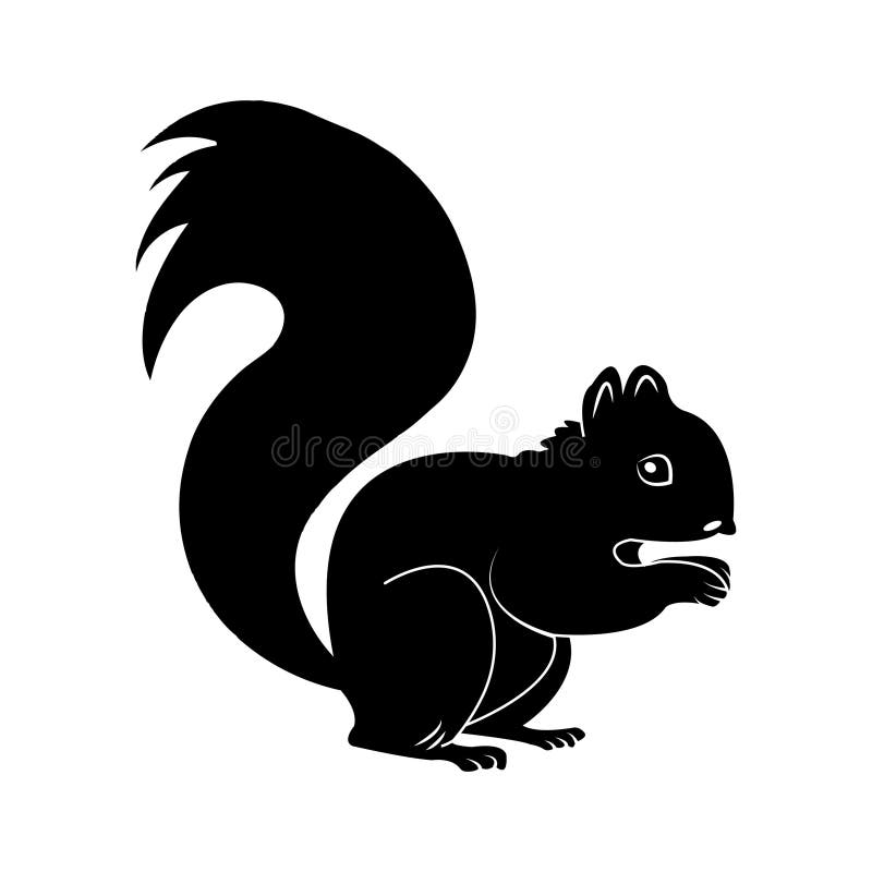 Squirrel icon stock vector. Illustration of biology - 308338877