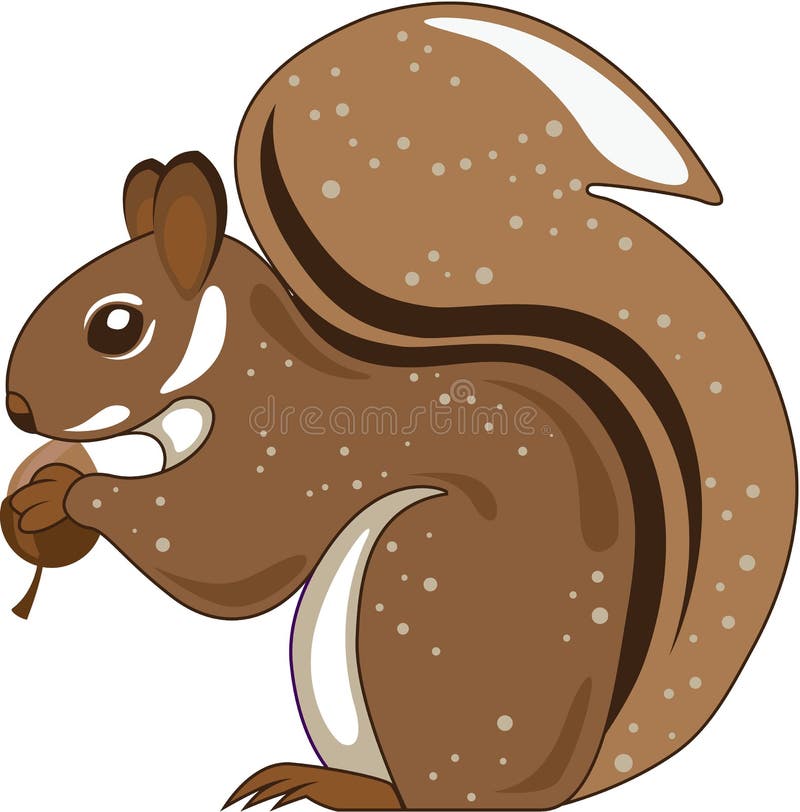 Squirrel Clip Art Stock Illustrations – 2,319 Squirrel Clip Art Stock ...