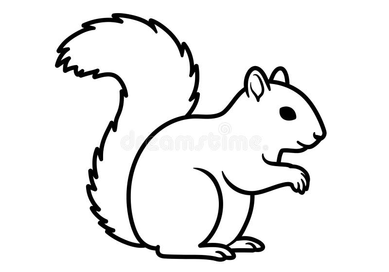 Squirrel line art stock vector. Illustration of minimalistic - 363812185