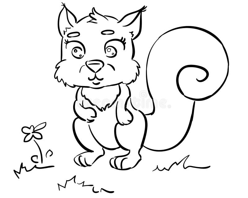 Squirrel line stock vector. Illustration of vector, cartoon - 93062779