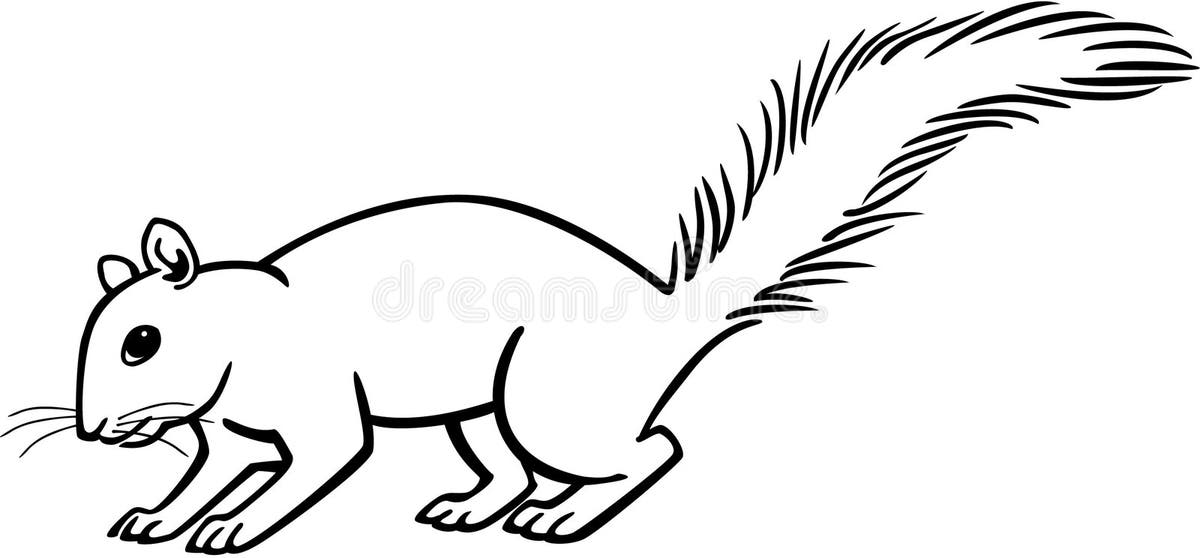 Line Squirrel Stock Illustrations – 11,018 Line Squirrel Stock ...