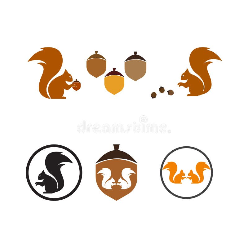 Squirrel Logo Template Illustration Design Stock Vector - Illustration ...