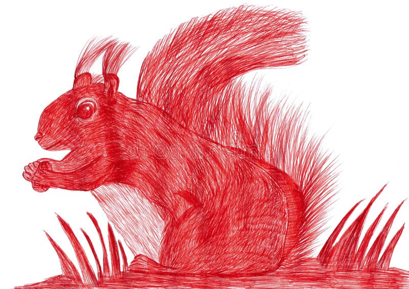 Squirrel with Nut, Hand Drawn Red Ballpoint Drawing Stock Illustration ...