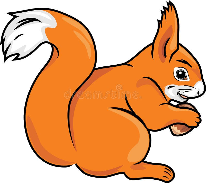 Squirrel with a nut stock vector. Illustration of joyful - 102138326