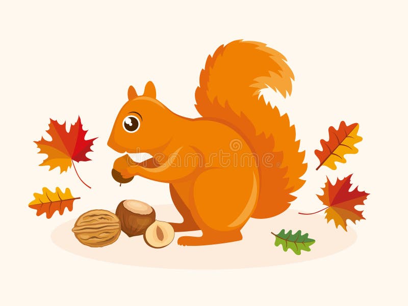 Cute Red Squirrel with Nuts and Autumn Leaves Vector Illustration Stock ...