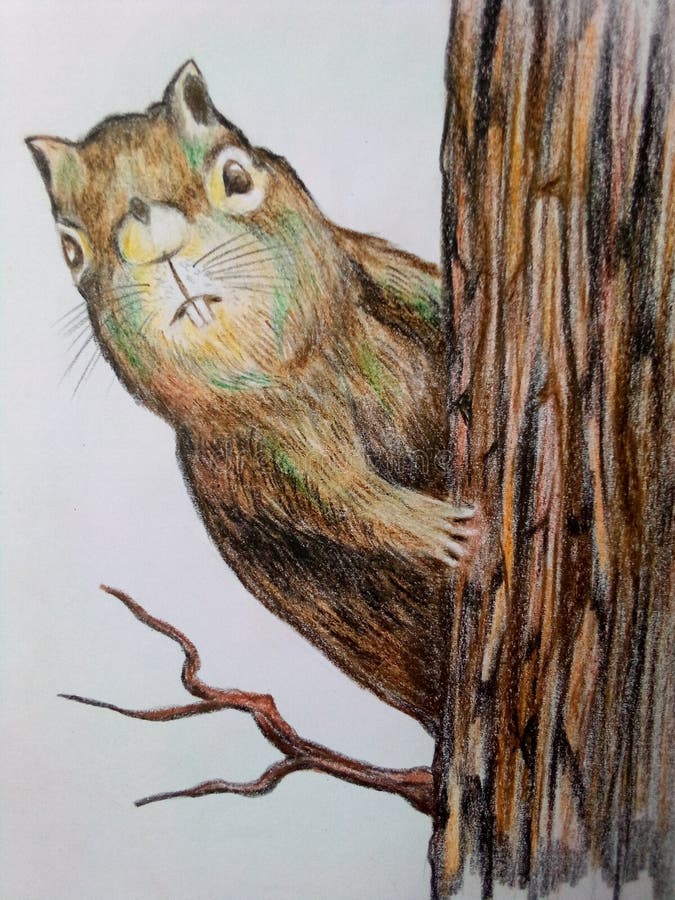 Squirrel painting on paper stock illustration. Illustration of bird ...