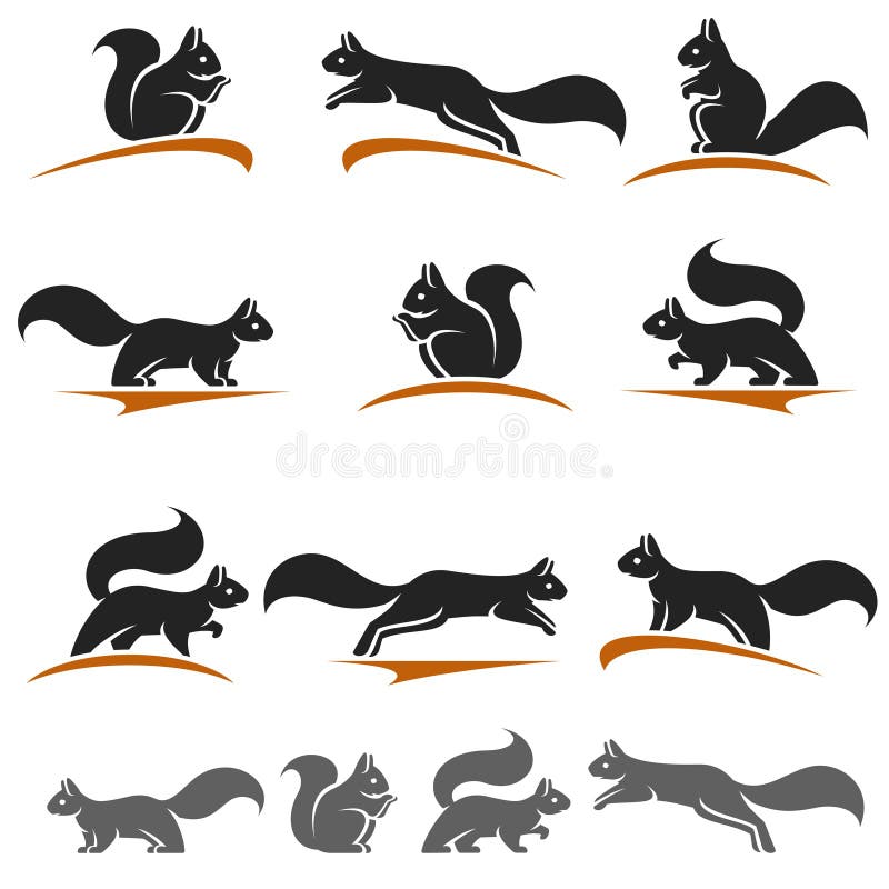 Squirrel Set. Collection Squirrel Icons Stock Illustration ...