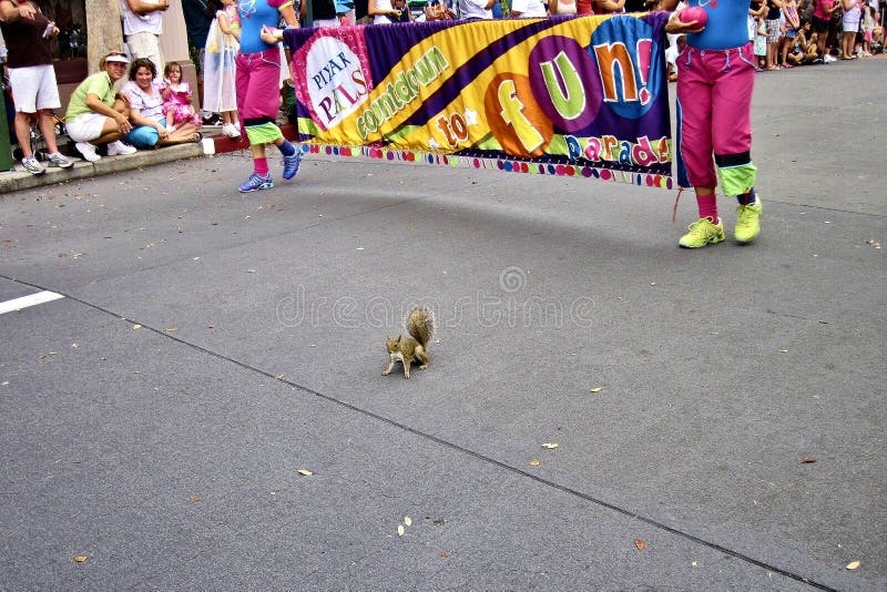 Squirrel Trapped in a Parade Editorial Image - Image of running ...