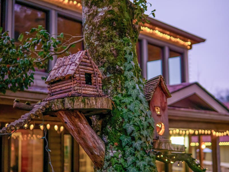 Squirrel Tree House with Christmas Lights in the Background Stock Image ...