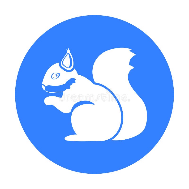 Squirrel Vector Icon in Black Style for Web Stock Vector - Illustration ...