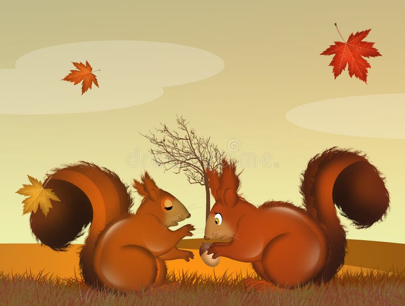 Squirrels couple in autumn stock illustration. Illustration of male ...