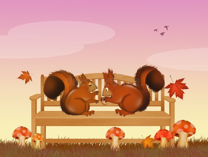 Squirrels couple in love stock illustration. Illustration of rodent ...