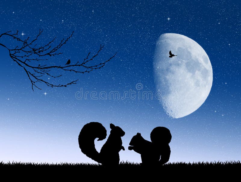 Squirrels in Love in the Moonlight Stock Illustration - Illustration of ...