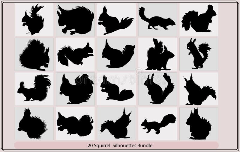 Squirrels Silhouette Vector Illustration Squireel Vector Bundle ...