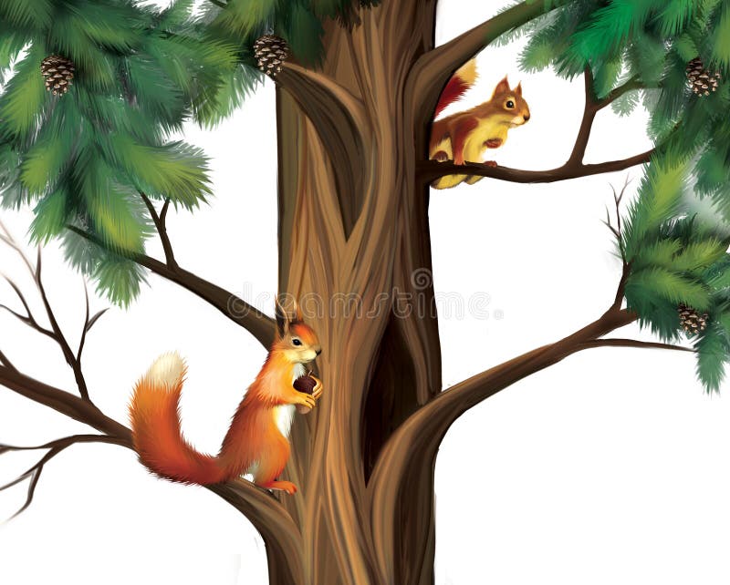 Squirrel In Tree Clip Art