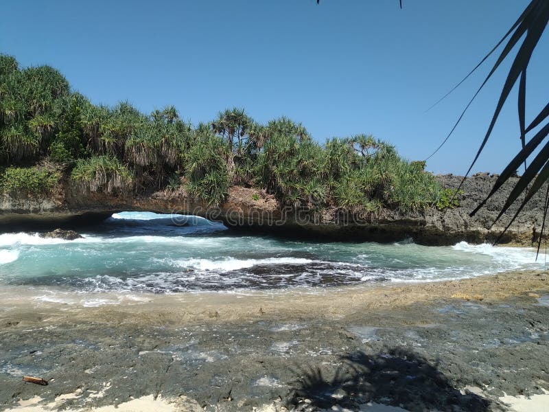 Srau beach stock image. Image of ocean, coconuttree - 317980699