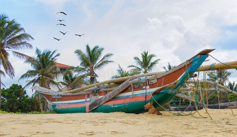 Sri-lanka beach sun boat editorial photo. Image of summer - 83078756