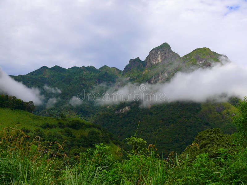 Sri Lanka Ceylon, Mountains and Rice Fields Stock Image - Image of ...