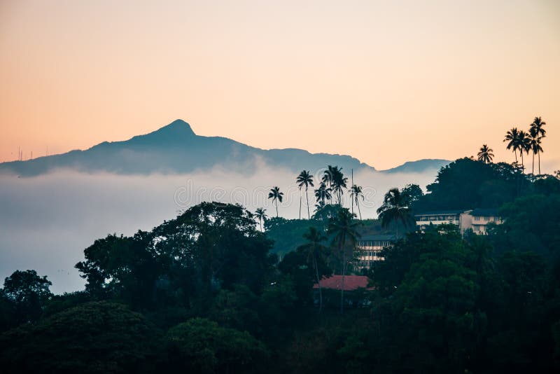 Sri Lanka Landscape View with Green Trees Editorial Photography - Image ...