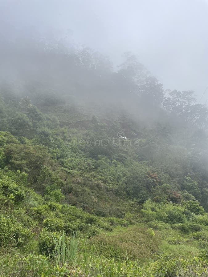 Hills side stock image. Image of hills, mountains, side - 295436267