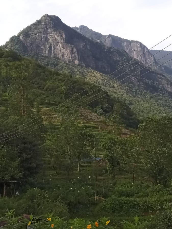 Sri Lanka,riverston, Mountain, Waterfall& X27;s, Natural Tea Stock ...