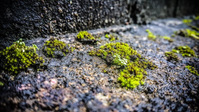 Water pasi stock image. Image of pasi, beautiful, water - 111450841