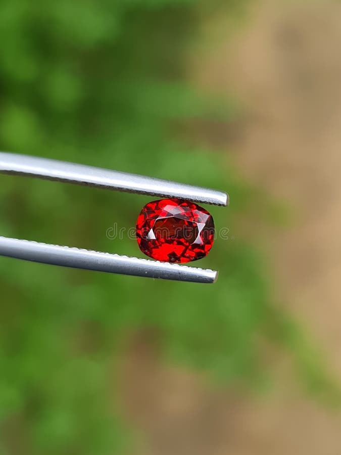Shining gem stock image. Image of gems, garnet, lankan - 205204769