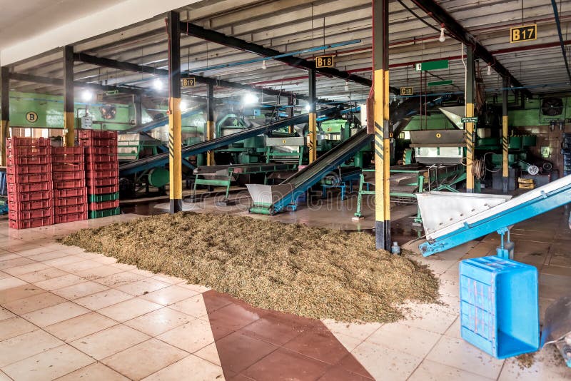 Sri Lankan tea factory stock image. Image of business - 192877953