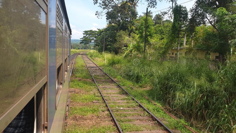 Train Tree Rail Road Green Nat Stock Photo - Image of rail, tree: 265177066