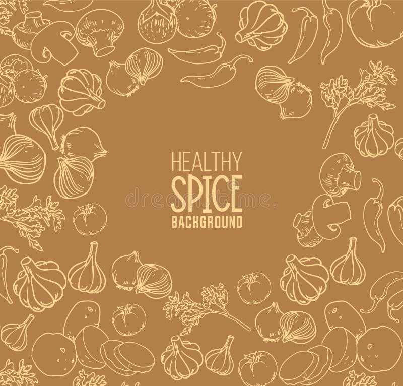 Hand Draw Healthy Spice Background Vector Illustration Stock Vector ...